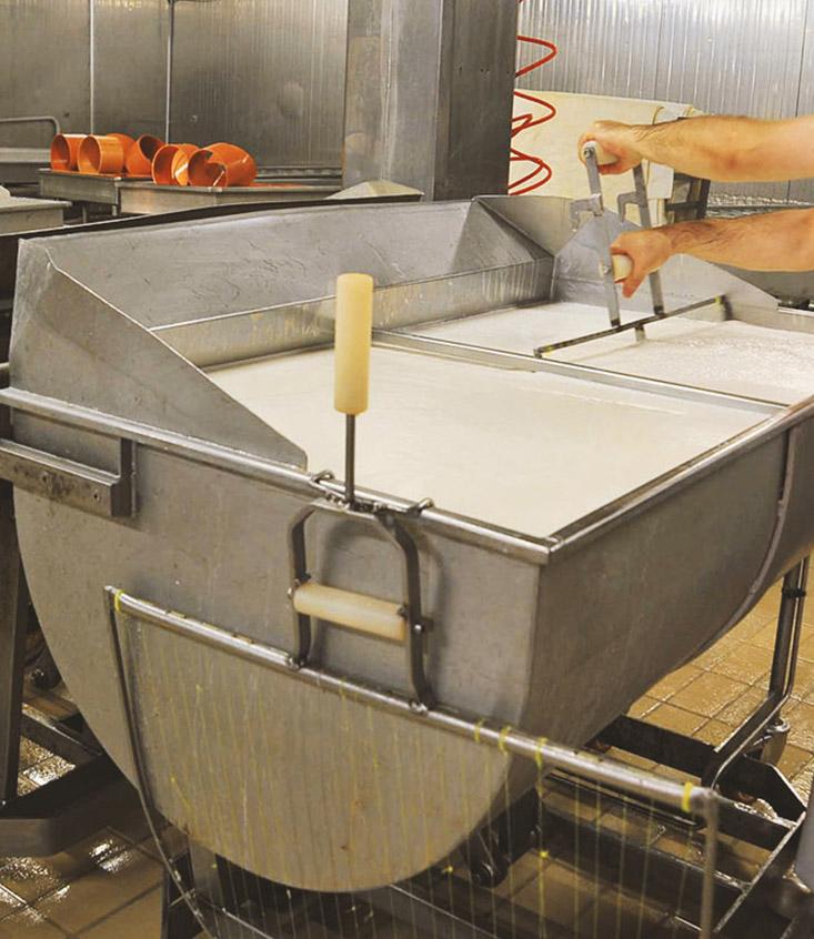 Taleggio